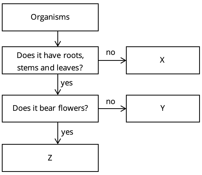 Diversity of Plants | Primary 3 Science - Geniebook