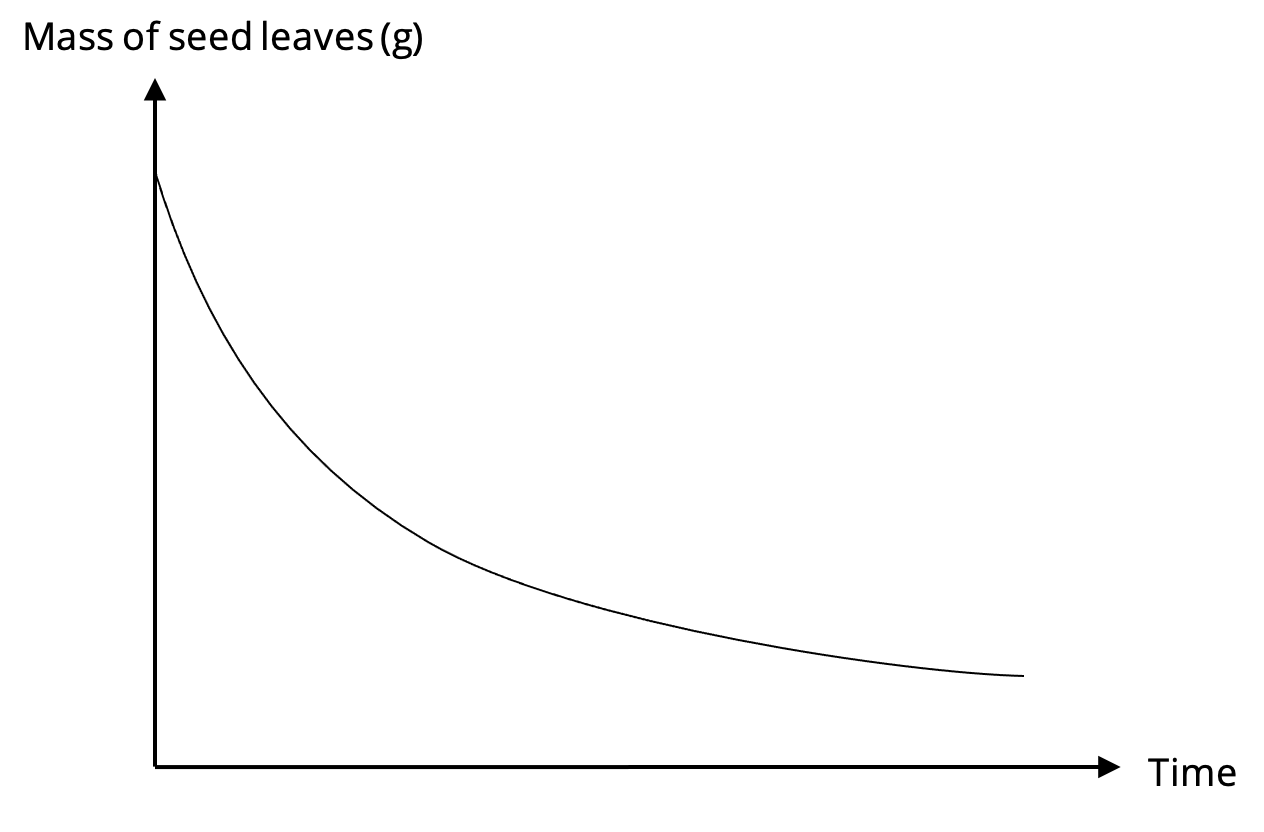 Plant Life Cycle | Primary 4 Science - Geniebook